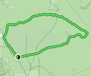 Clark Dry Lake Loop: 6 foto - California | AllTrails