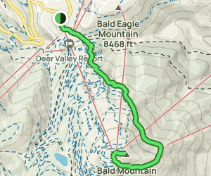 Bald Mountain via Silver Lake Trail: 932 Reviews, Map - Utah | AllTrails