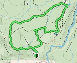 Malcolm Knapp Red and Yellow Loop Trail, British Columbia, Canada - 192 ...