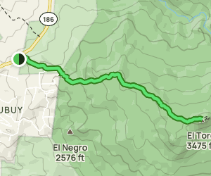 El Toro Trail: 344 Reviews, Map - East Region, Puerto Rico | AllTrails