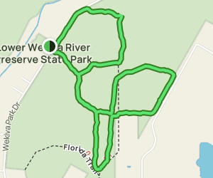 Pine Flatwoods Loop from Katie's Landing: 90 Reviews, Map - Florida ...