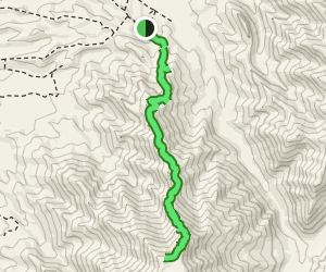 Jester's Trail: 226 Reviews, Map - Arizona | AllTrails