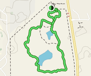 Blueberry Trail : 146 Reviews, Map - Florida | AllTrails