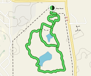 AllTrails | Red Root and Blueberry Trail : 54 Reviews, Map - Florida