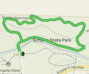 East Fork Satsop River Loop: 35 Reviews, Map - Washington | AllTrails