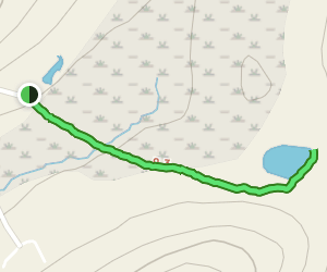 Finzel Swamp Trail: 34 Reviews, Map - Maryland | AllTrails