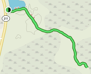 Green Swamp Preserve, North Carolina - 172 Reviews, Map | AllTrails