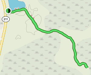 Green Swamp Preserve [CLOSED]: 164 Reviews, Map - North Carolina ...