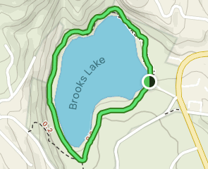 Brooks Pond Trail Loop, New York - 107 Reviews, Map | AllTrails