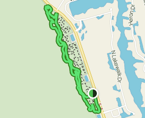 Graham Swamp Mountain Bike Trail, Florida - 280 Reviews, Map | AllTrails