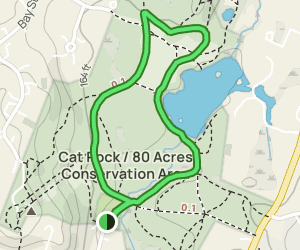 Cat Rock Park Loop: 661 Reviews, Map - Massachusetts | AllTrails