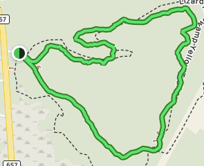 Lizard Tail Swamp Yellow Loop Trail : 74 Reviews, Map - New Jersey ...