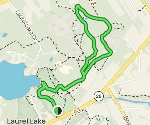 Laurel Lake Trail: 198 Reviews, Map - New York | AllTrails