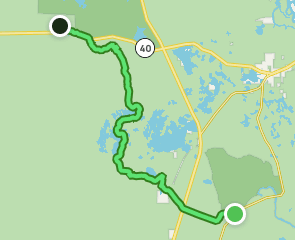 Florida Trail: Alexander Springs to Juniper Springs, Florida - 94 ...