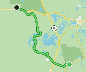 Florida Trail: Alexander Springs to Juniper Springs: 92 Reviews, Map ...