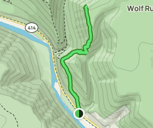 Bob Webber Trail | Map, Guide - Pennsylvania | AllTrails