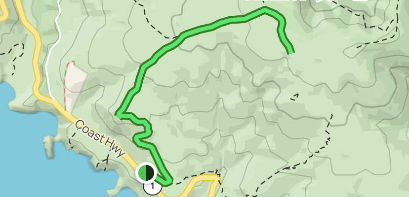 Are Dogs Allowed At Jenner Headlands