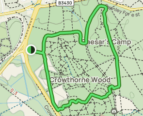 Crowthorne Wood and Caeser's Camp Circular: 88 Fotos - Berkshire ...