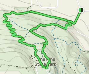 Western Larch and Cliff Trail Loop: 412 Reviews, Map - Montana | AllTrails