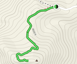 Pico Rodadero Trail - South Region, Puerto Rico | AllTrails