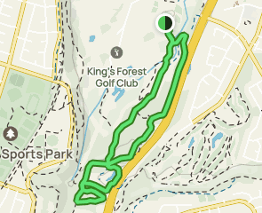 King's Forest via Red Hill Valley Trail, Ontario, Canada - 119 Reviews ...