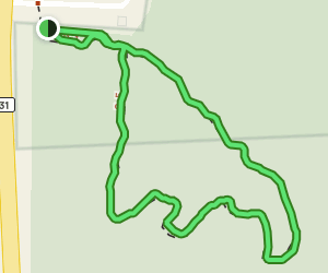 Dwarf Pine Plains Trail | Map, Guide - New York | AllTrails