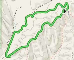 Cardiac Hill and Ridge Loop, California - 291 Reviews, Map | AllTrails