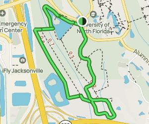 Gopher Tortoise Ridge and Big Cypress Loop: 445 Reviews, Map - Florida ...