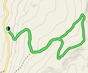 Blue Creek Trail: 314 Reviews, Map - Idaho | AllTrails