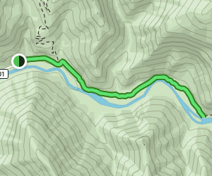 Kings River Trail: 50 Reviews, Map - California | AllTrails