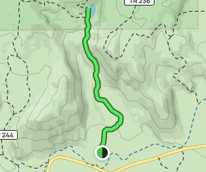 June Lake Trail: 760 Reviews, Map - Washington | AllTrails