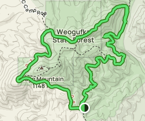 AllTrails | Pinhoti and CC Camp Road Trail: 82 Reviews, Map - Alabama