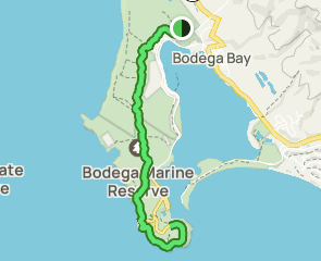 Bodega Head via Upper Dunes, Salmon Creek Beach, and Bodega Head Trail ...