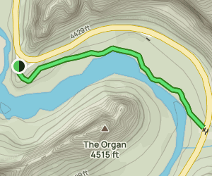 Virgin River Walk: 124 Reviews, Map - Utah | AllTrails