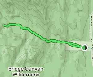 Grapevine Canyon Trail: 467 Reviews, Map - Nevada | AllTrails