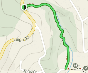 Matheson Bay Bush Walk: 8 Reviews, Map - Auckland, New Zealand | AllTrails