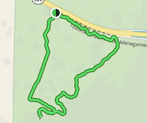 Tosohatchee WMA White Loop: 62 Reviews, Map - Florida | AllTrails