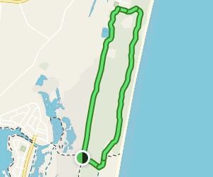 Pegasus Bay Walkway: 28 Reviews, Map - Canterbury, New Zealand | AllTrails