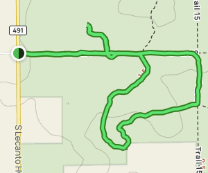 Dames Caves and Lizzie Heart Sink Loop Trail : 1 462 photos - Florida ...