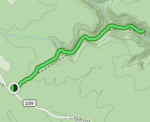 Road Canyon via Fallen Roof Trail, Utah - 72 Reviews, Map | AllTrails