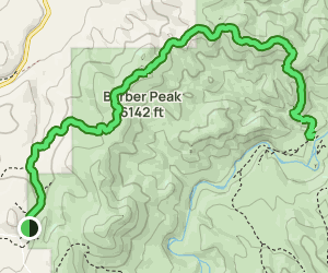 Carson River Hot Spring : 115 Reviews, Map - California | AllTrails