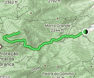 Pico da Pedra Branca: 5 Reviews, Map - Rio de Janeiro, Brazil | AllTrails