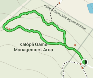 Kalopa Native Forest Trail: 198 Reviews, Map - Hawaii, Hawaii | AllTrails