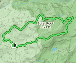 Chewing Gum Lake from Crabtree TH: 494 foto - California | AllTrails