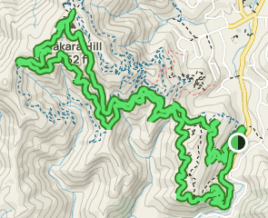 Makara MTB: Koru, Sally Alley, Upswing, Lazy Fern: 27 Reviews, Map ...
