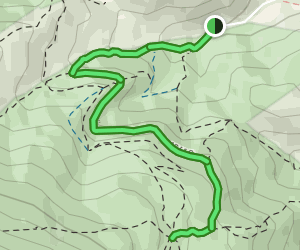 Junction Cabin via Lenah Valley Track : 69 Reviews, Map - Tasmania ...