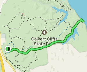 Calvert Cliffs Red Trail : 1297 Reviews, Map - Maryland | AllTrails