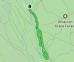 Lower Forge to Batona Trail to Goodwater Road Loop: 22 Reviews, Map ...