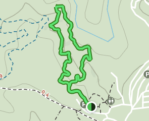 Big Poplar Trail: 123 Reviews, Map - Virginia | AllTrails