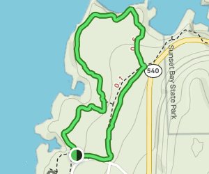 Cape Arago Loop Trail: 216 Reviews, Map - Oregon | AllTrails